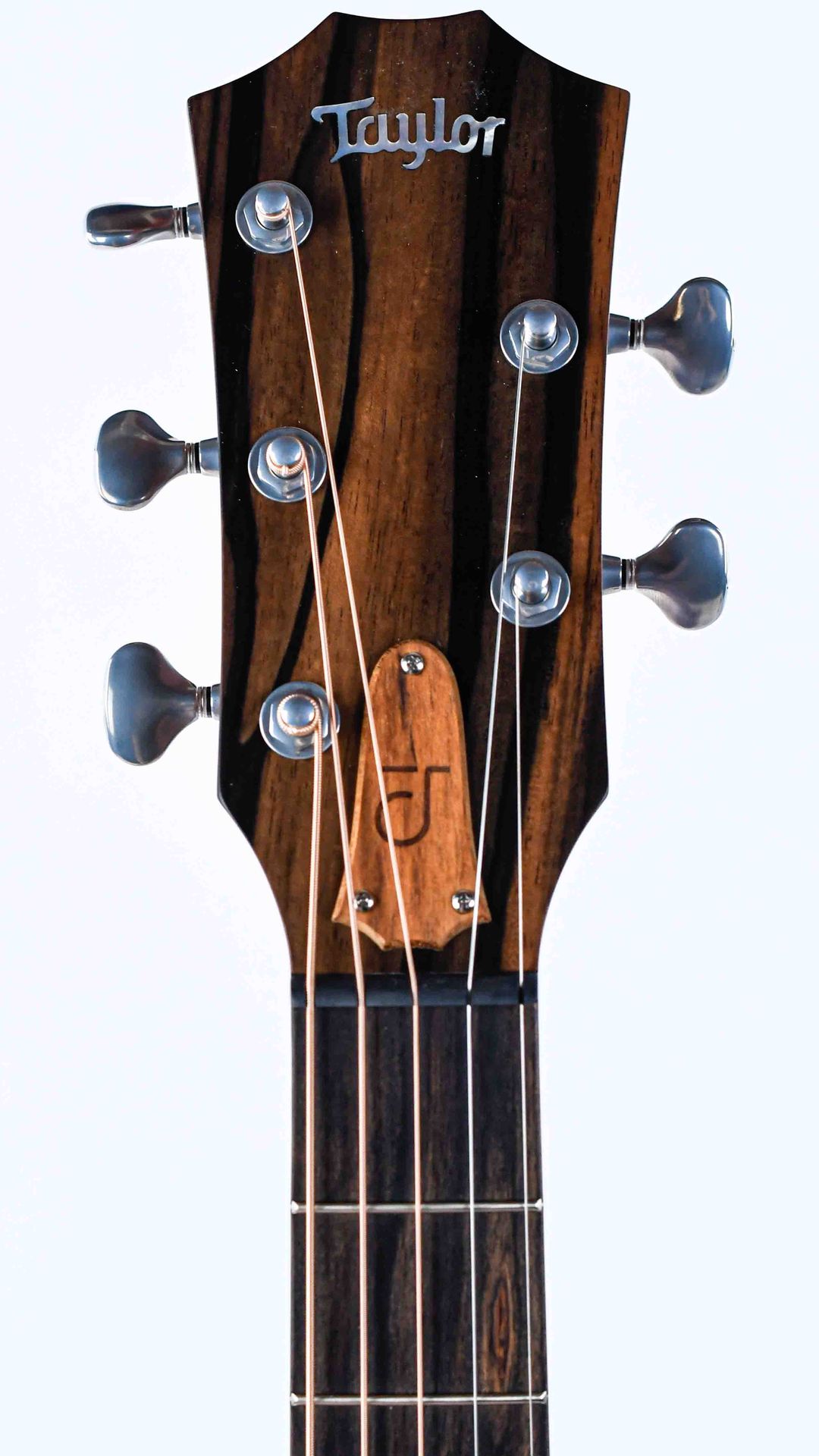 Taylor Jacob Collier Signature Model 5 String | The Fellowship of Acoustics